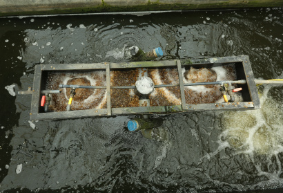 Welcome | Kamuthanga Fish Farm